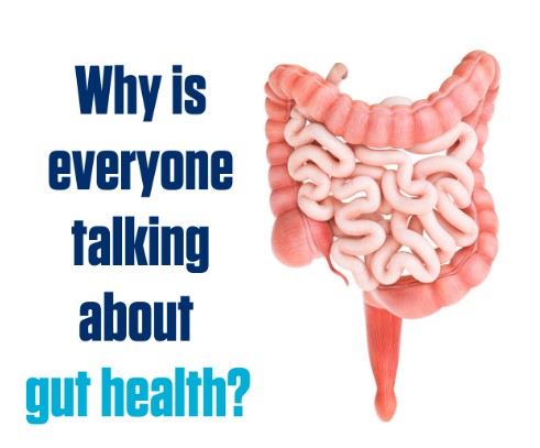 Why Is Everyone Talking About Gut Health? – Alkamind