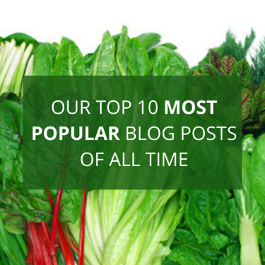 Our Top 10 Most Popular Blog Posts of All Time – Alkamind