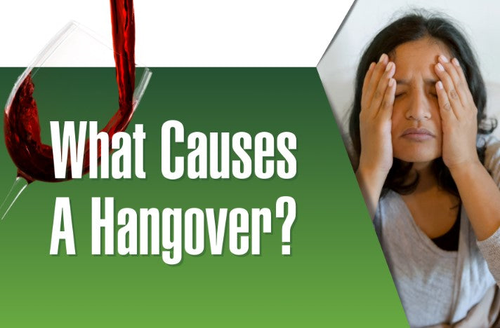 What Causes a Hangover? – Alkamind